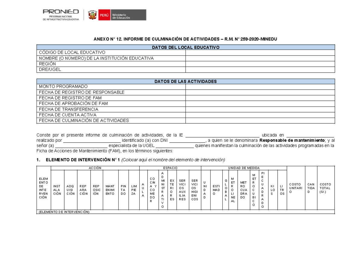 Anexo ndeg 12 - ANEXO N° 12. INFORME DE CULMINACIÓN DE ACTIVIDADES – R ...