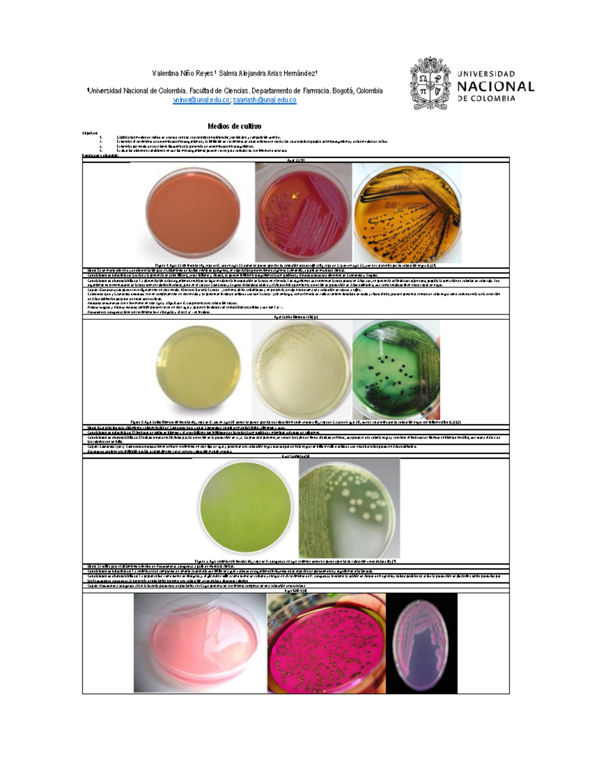 Informe IV - Medios de cultivo - Valentina Niño Reyes 1 Salma Alejandra ...