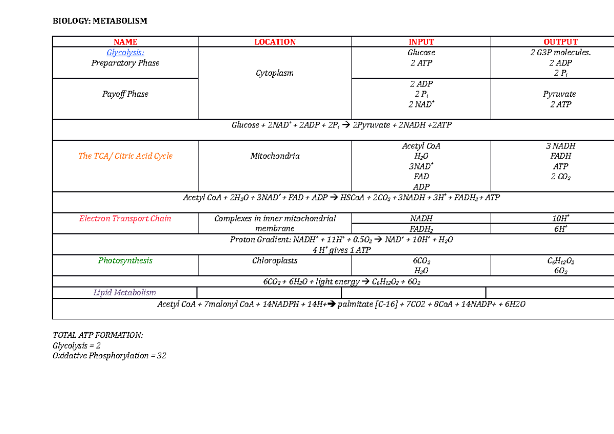 Summary - lecture 8 - Table on the different metabolic processes in the ...