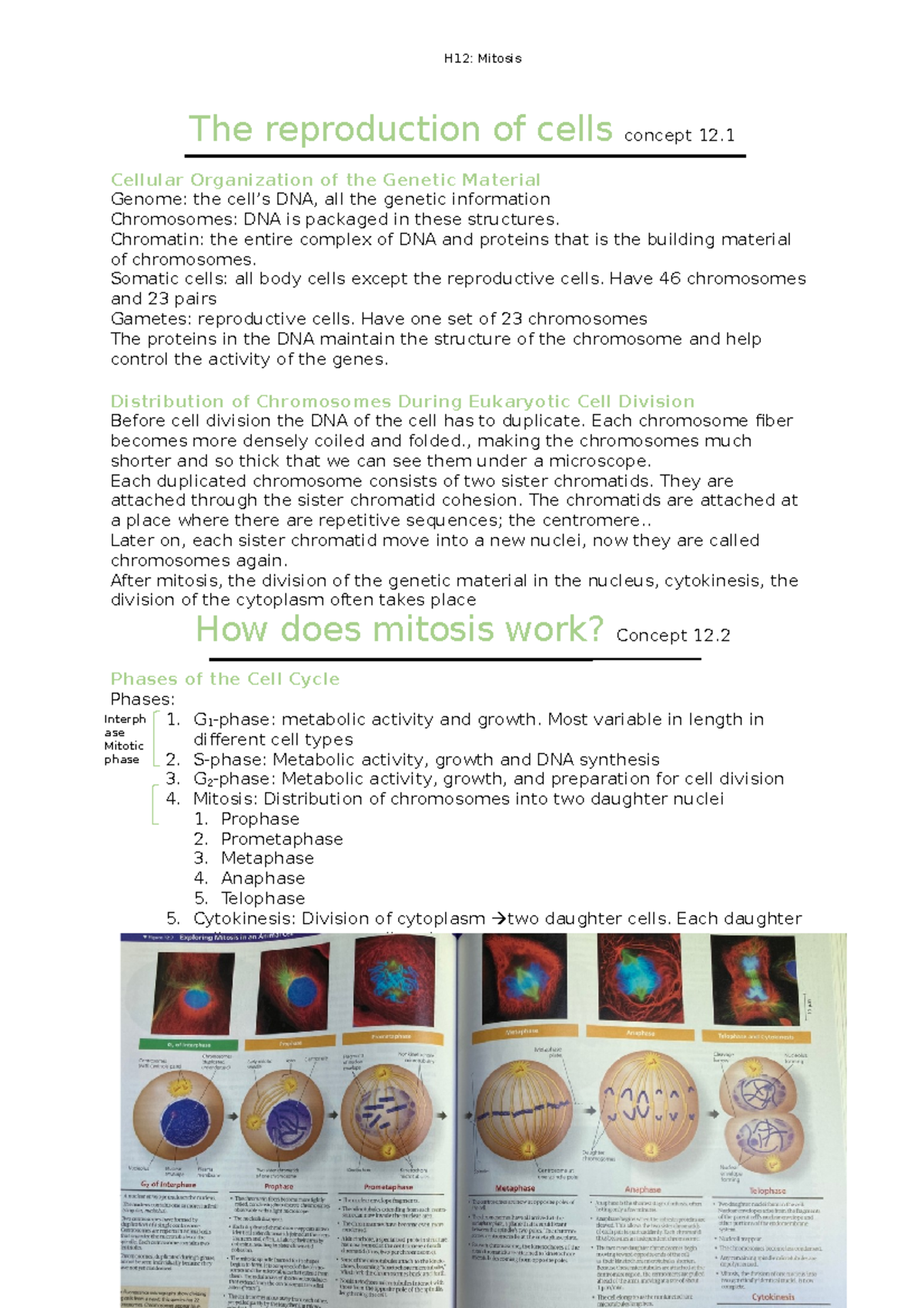 Summary H12 Biology: A global approach - The reproduction of cells ...