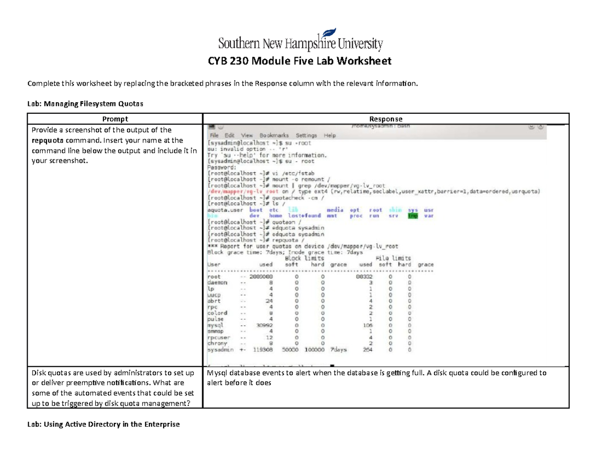 CYB 230 Module Five Lab Worksheet - CYB 230 Module Five Lab Worksheet ...
