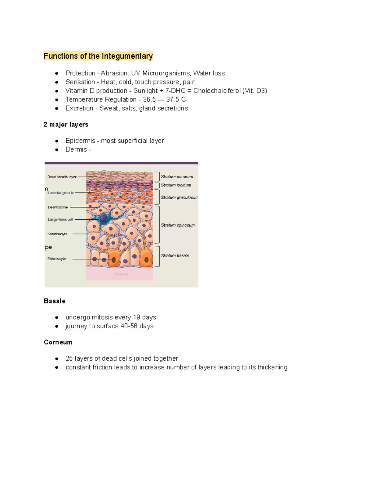 Integumentary System - Functions of the Integumentary Protection ...
