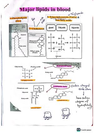STEM October BIO TEAM (2) (1).docx - STEM OCTOBER BIO TEAM Q1 : Which ...