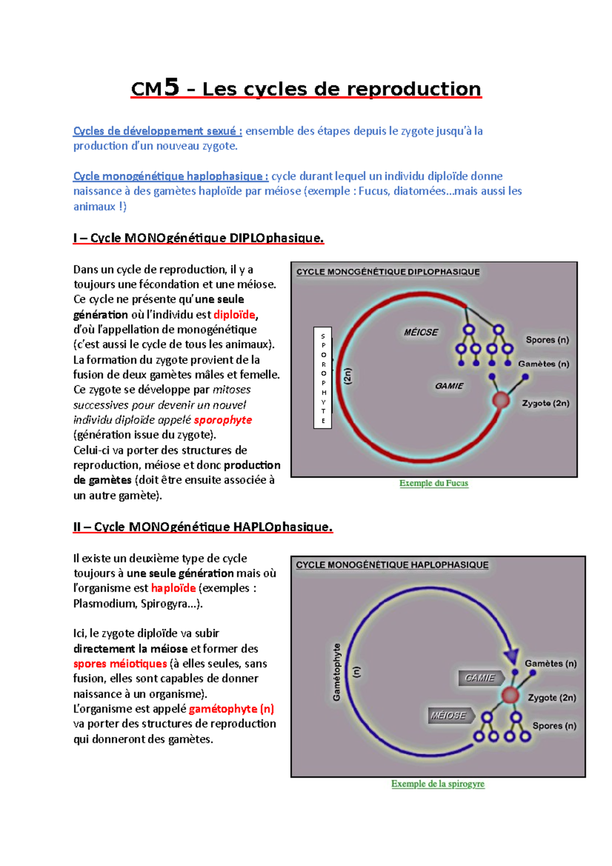 CM5 - Les cycles de reproduction - CM 5 – Les cycles de reproduction ...