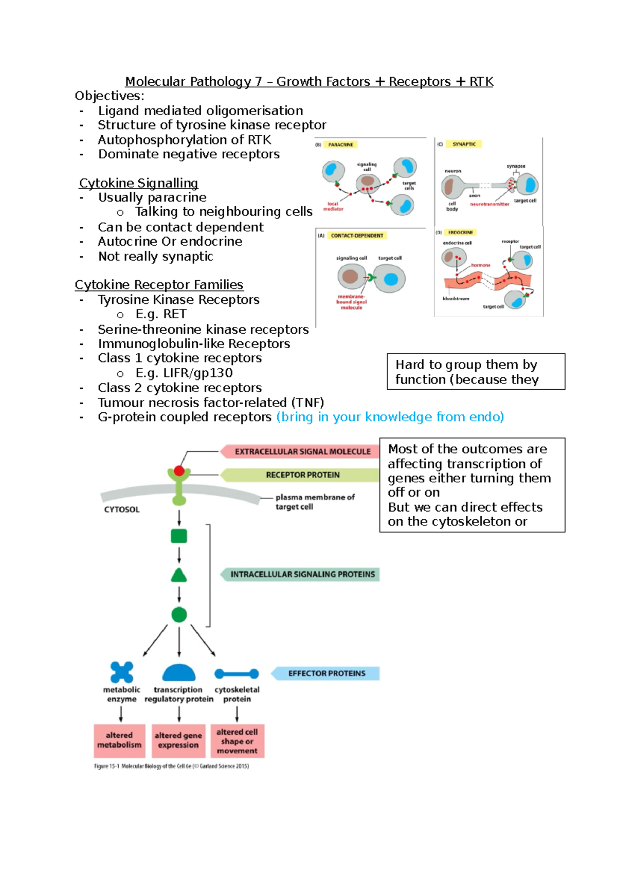 Molecular Pathology 7 - RTK - Molecular Pathology 7 – Growth Factors ...