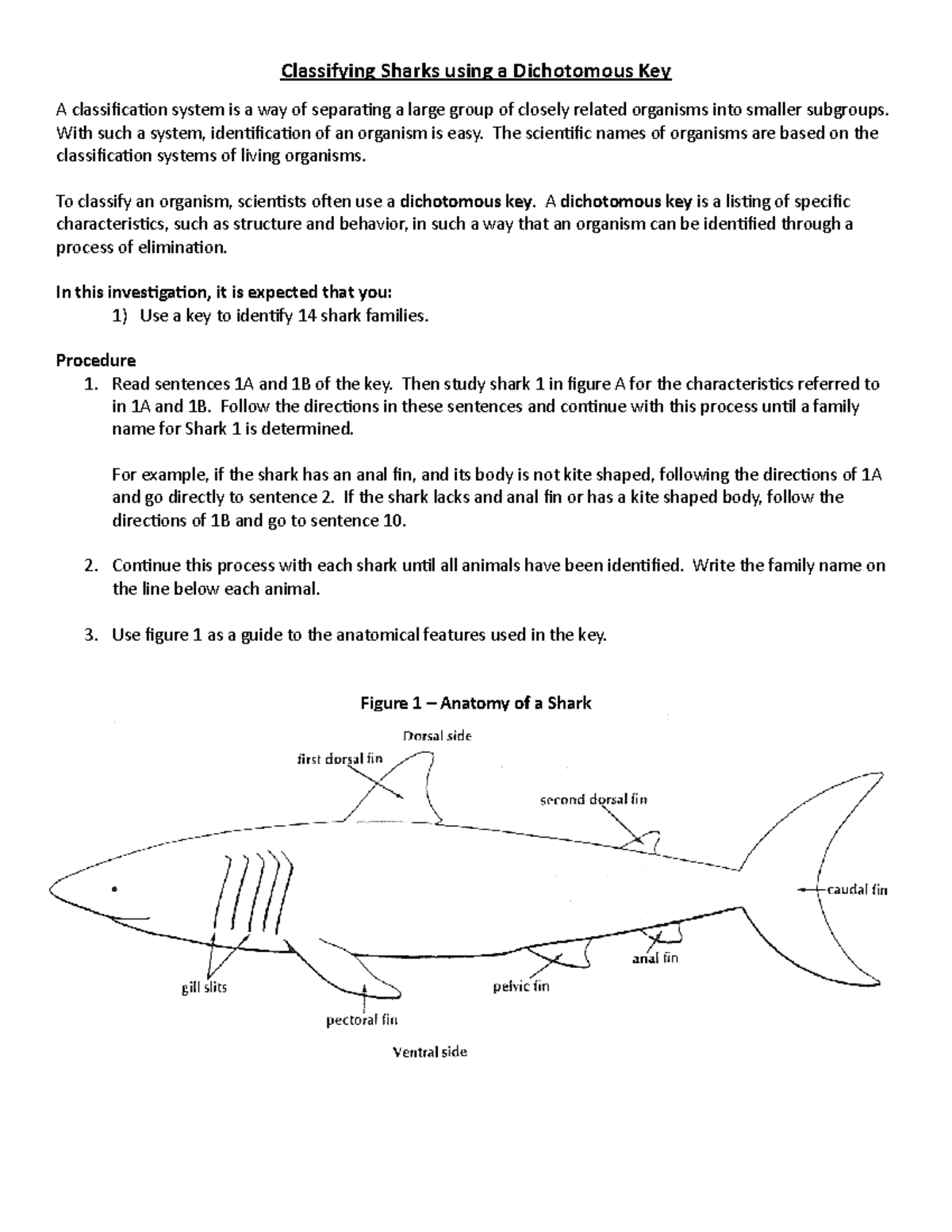 1c. Dichotomous Key Worksheet - Classifying Sharks using a Dichotomous ...