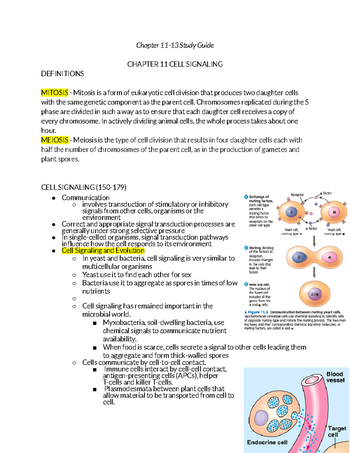 Unit 4 Study Guide - Chapter 11-13 Study Guide CHAPTER 11 CELL ...