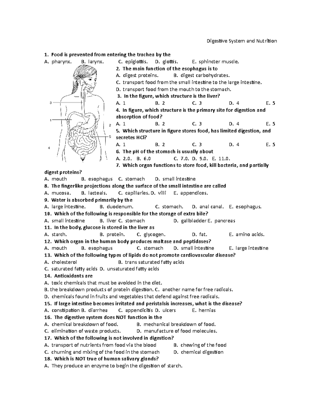 Q nutrition digestiv (QUESTIONS) - Digestive System and Nutrition 1 ...