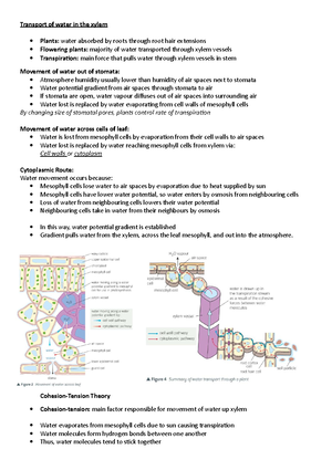Active Transport & Co Transport Notes - Active Transport: The movement ...