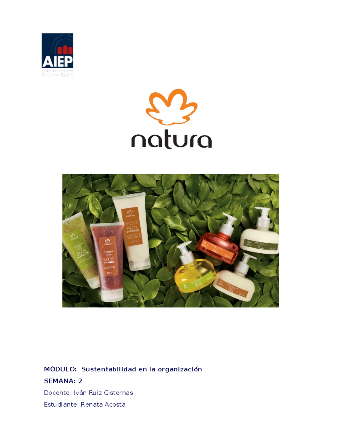 Renata Acosta semana 3 - MÓDULO: Sustentabilidad en la organización ...