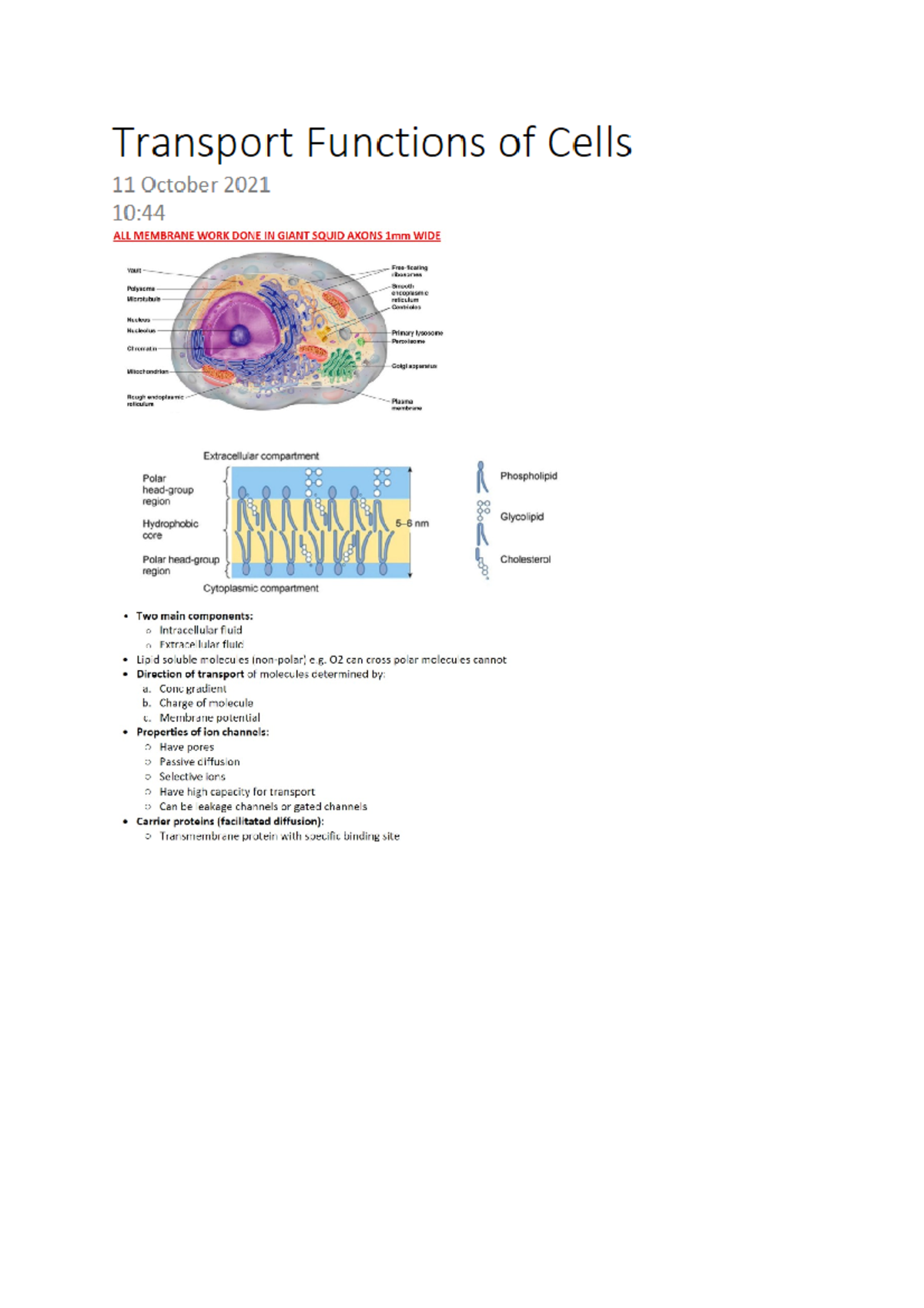 Transport functions of cells and concentrations - PHOL0001 - Studocu