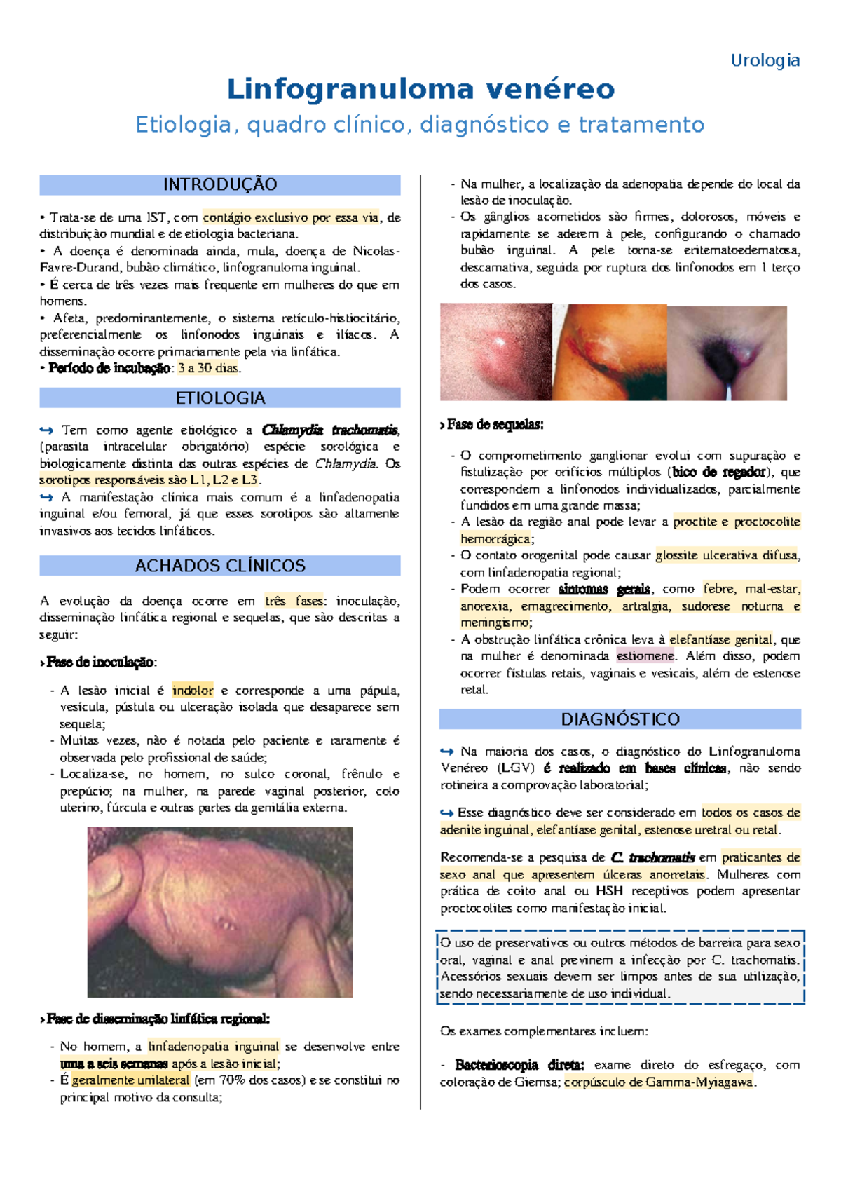 Linfogranuloma venéreo - Urologia Linfogranuloma venéreo Etiologia ...
