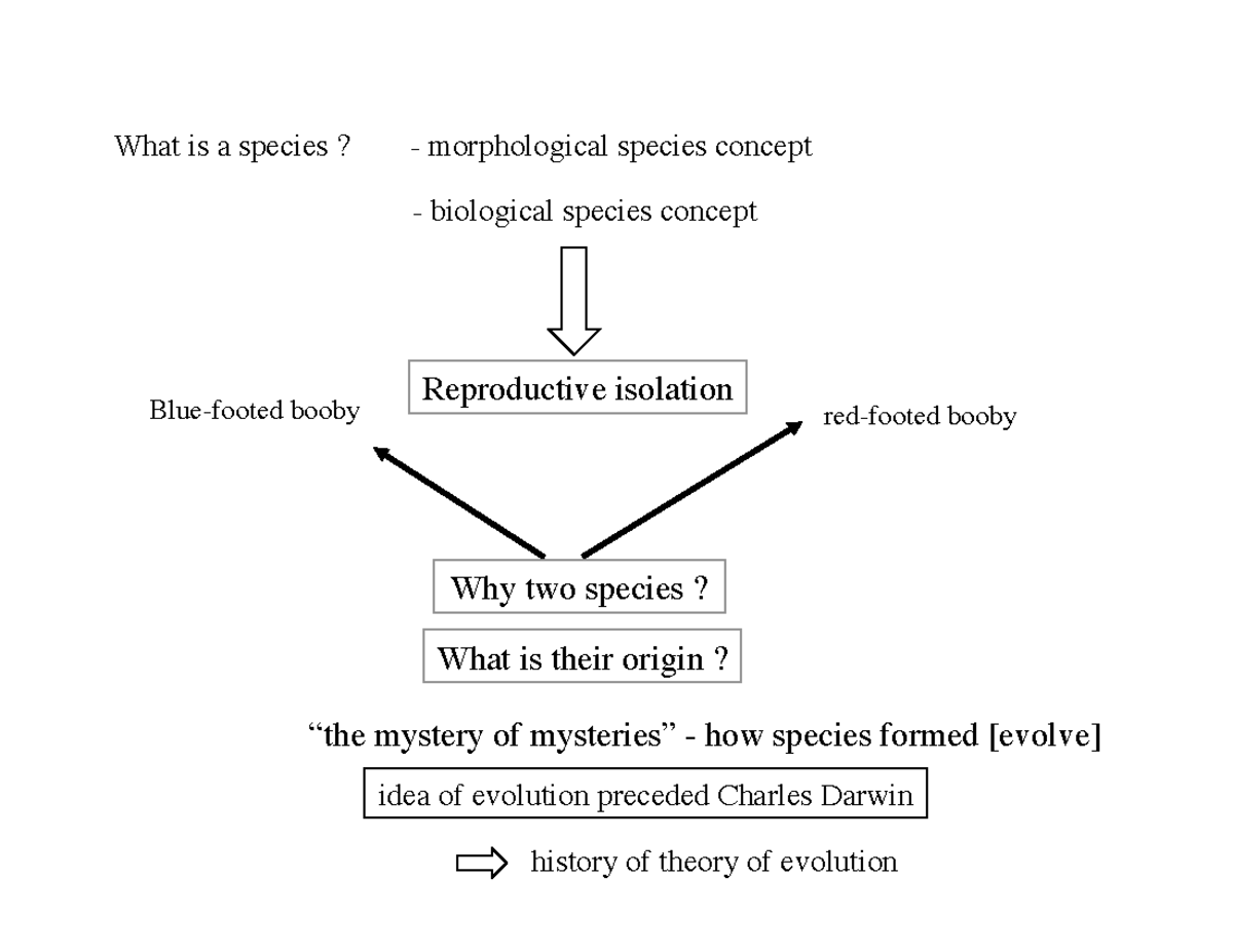 Lecture notes 11 - Evolutionary change - What is a species? Why two ...