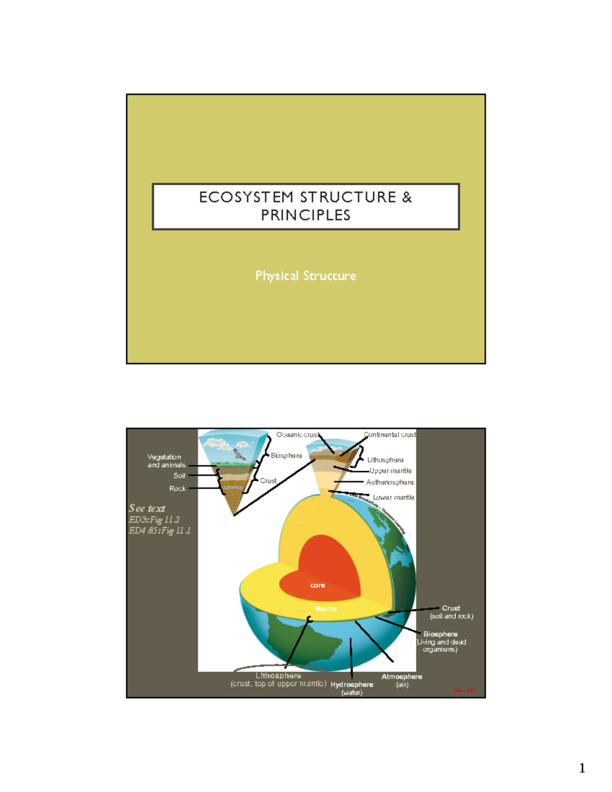 2B-Ecosystem-Physical Notes - ECOSYSTEM STRUCTURE & PRINCIPLES Physical ...