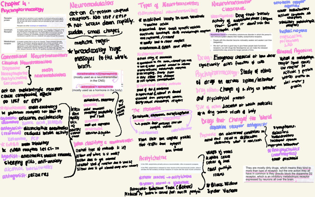 Chapter 4 - Includes notes from slides, the textbook, and what the prof ...