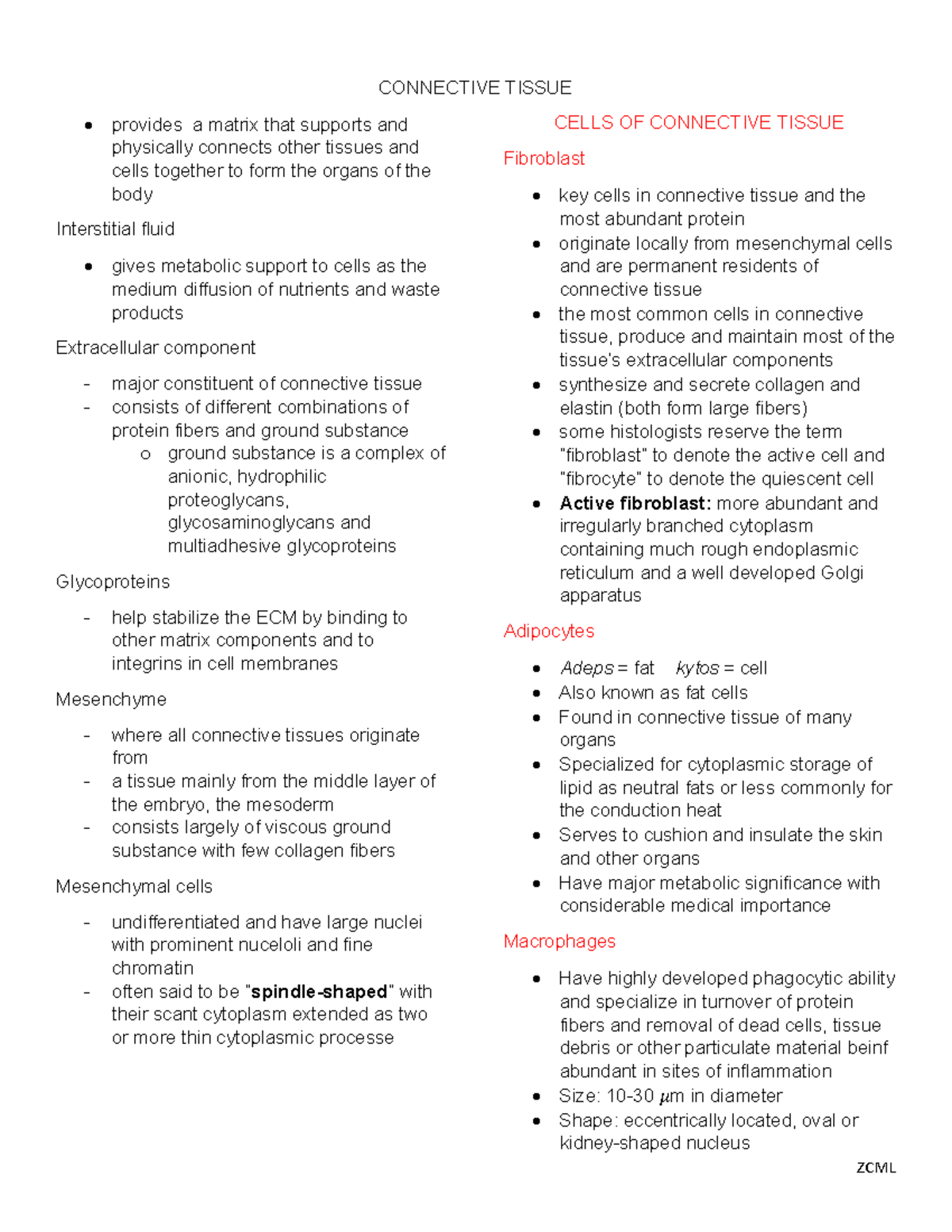 Connective- Tissue - CONNECTIVE TISSUE provides a matrix that supports ...