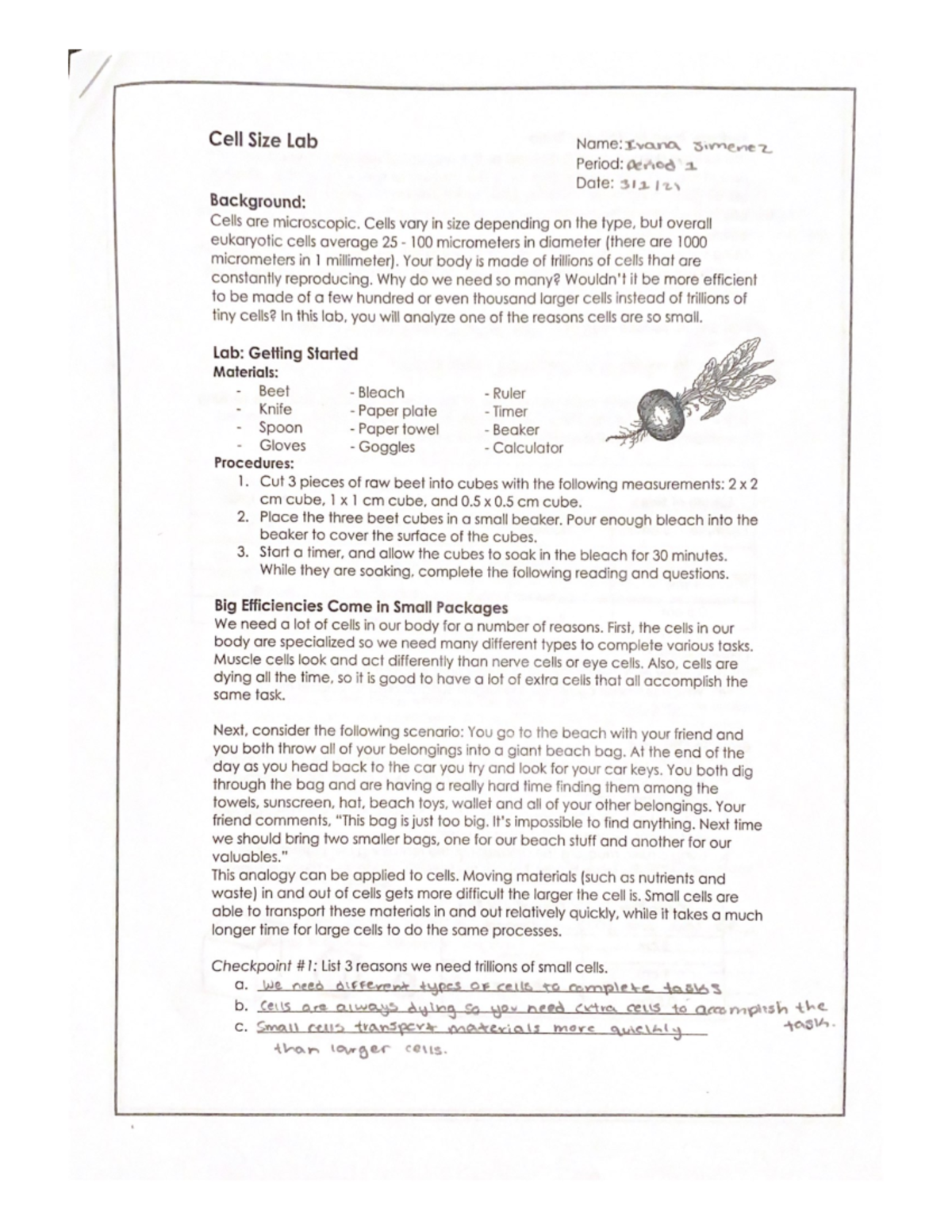 Cell Size Lab - PHYS 210 - Studocu