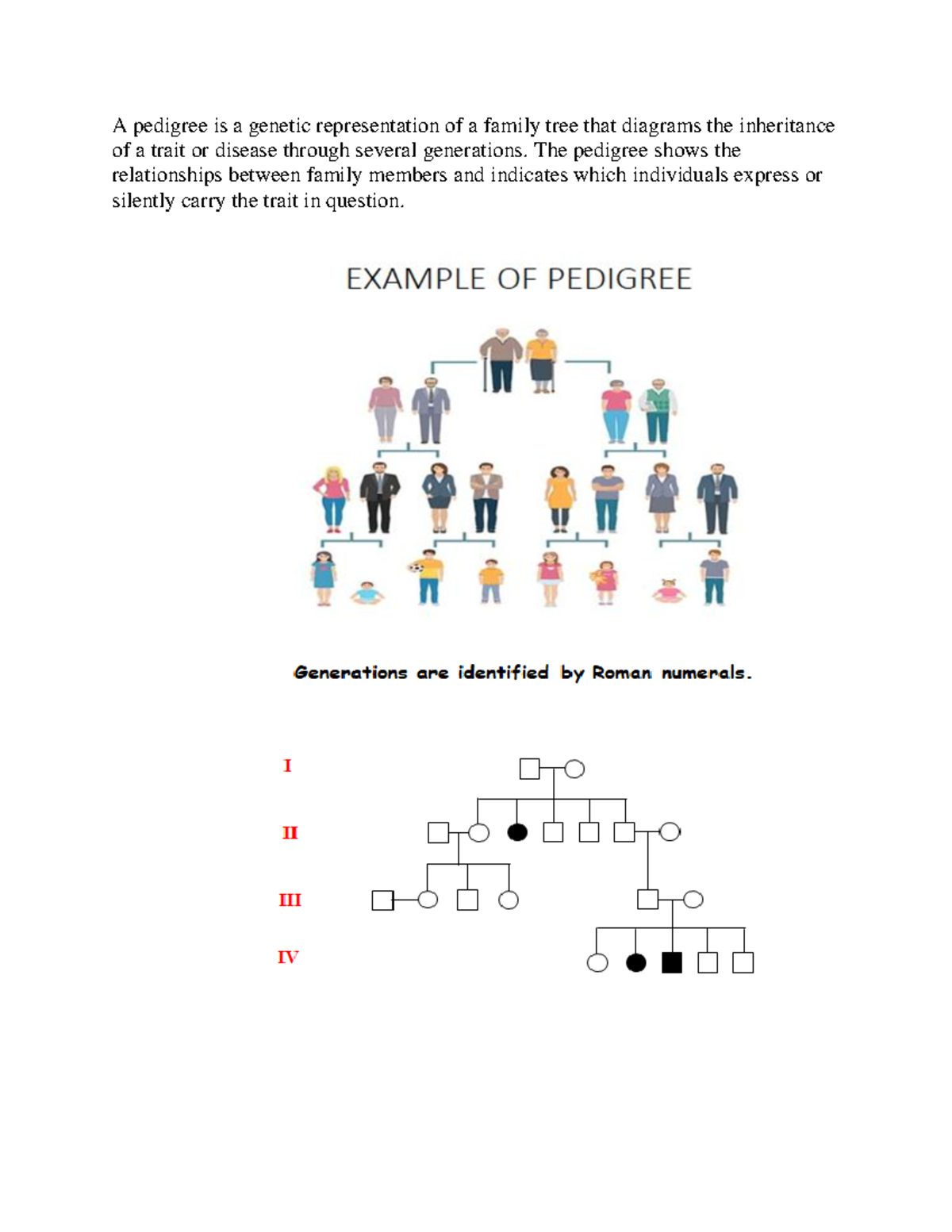 2 Basic Pedigree Symbols Genetics - A pedigree is a genetic ...