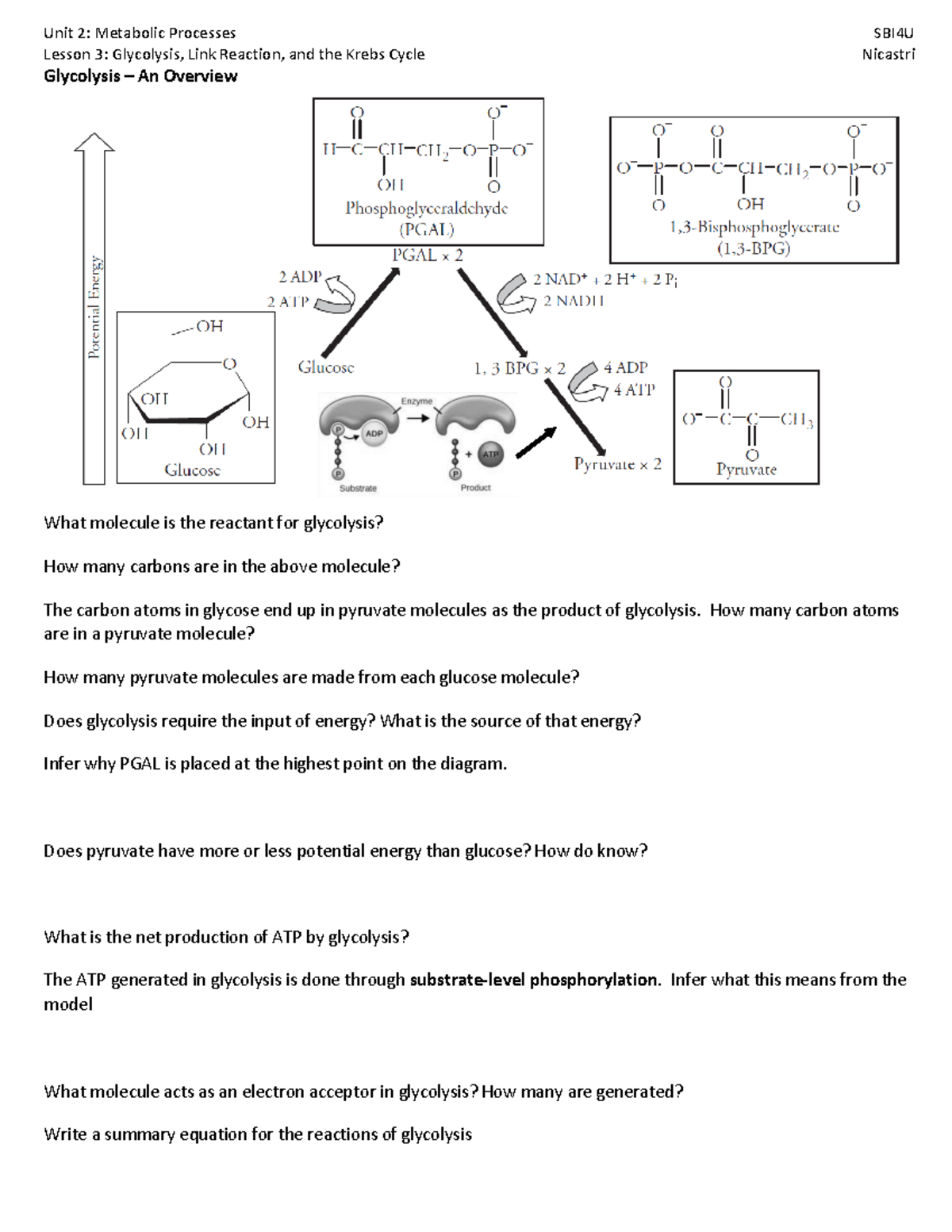U2L3 Glycolysis Link Krebs Student - Lesson 3 : Glycolysis, Link ...