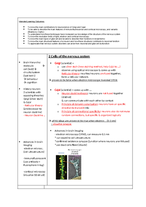 Module 6- The Respiratory System Online Textbook - 8: MODULE 6- THE ...