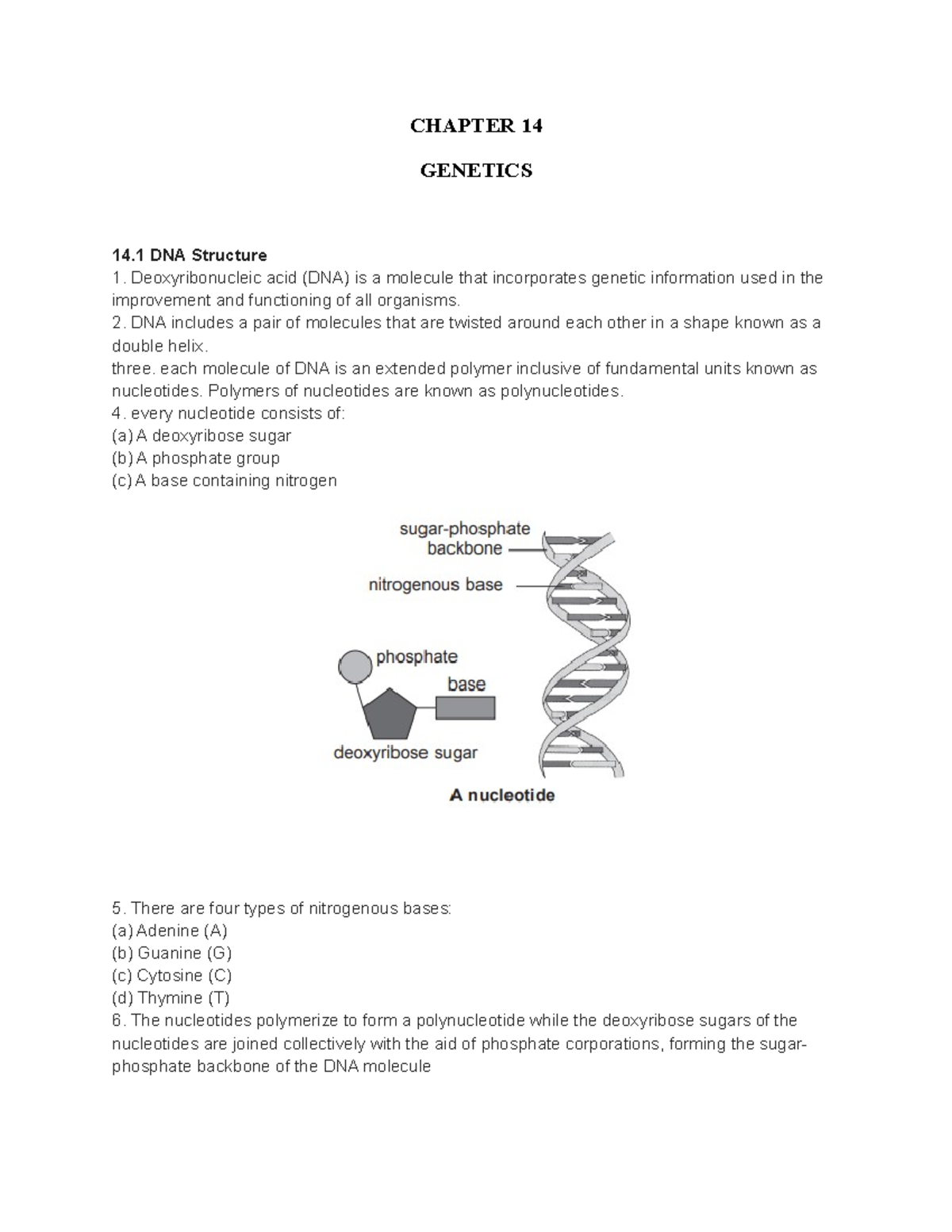 Chapter 14 Genetics - CHAPTER 14 GENETICS 14 DNA Structure ...
