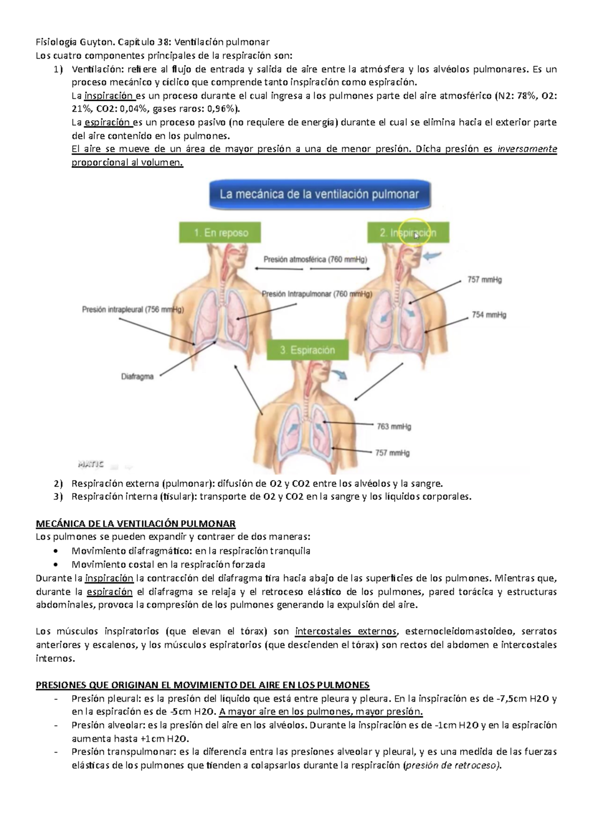 Fisiología de Guyton. Cap 38 ventilación pulmonar - Fisiología Guyton. Capítulo 38: Ventilación ...