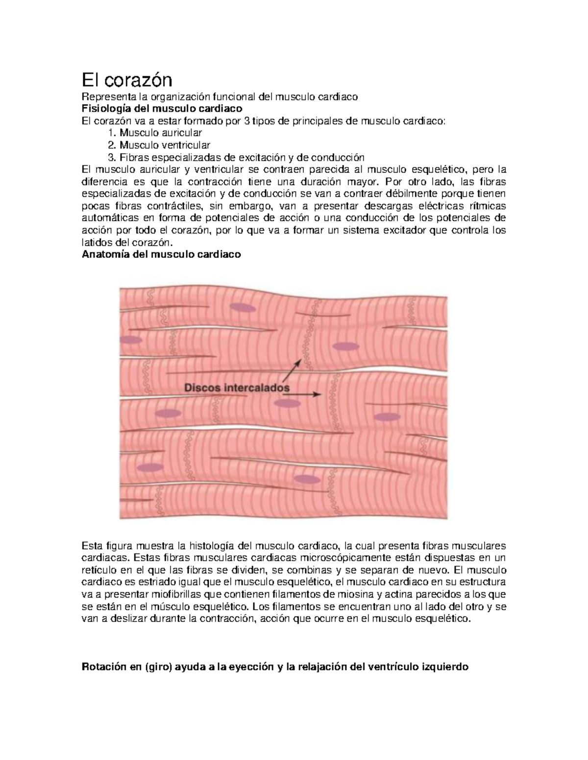 El corazón - Fisiologia III - El corazón Representa la organización ...