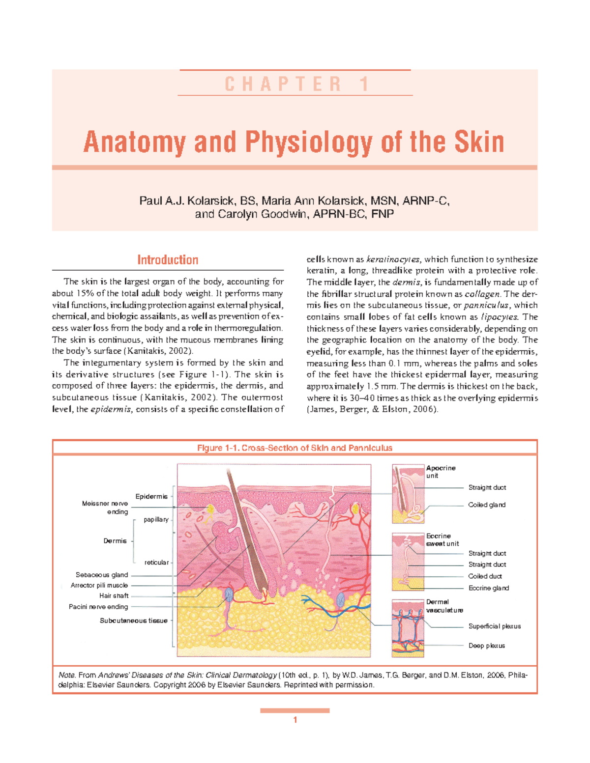 Human anatomy ,physiology ,skin cancer study material for students ...