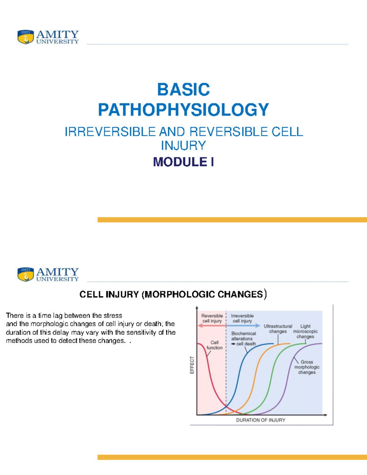 Basic Pathophysiology - BASIC PATHOPHYSIOLOGY IRREVERSIBLE AND ...