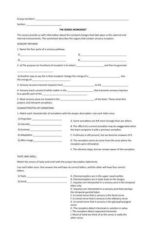 Scie Tech Fact Sheet - Instruction: In a one whole sheet paper, make a ...