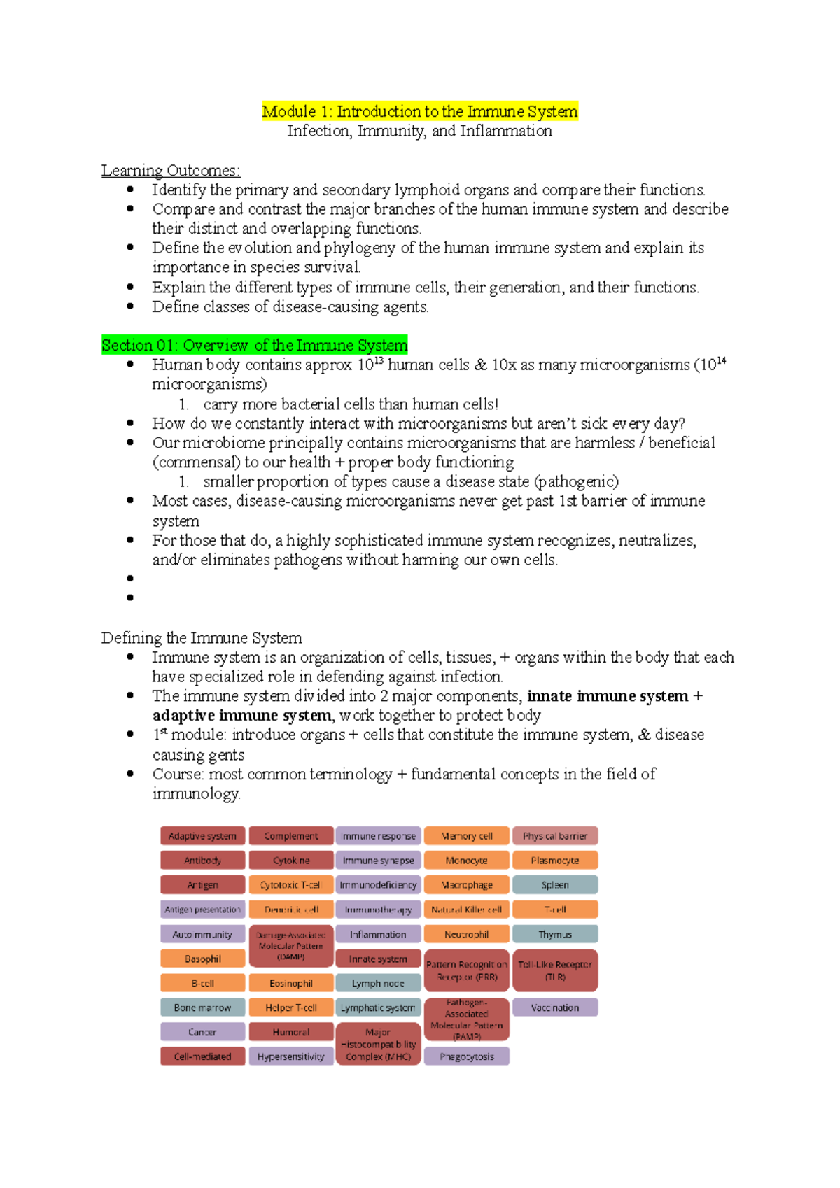 Module 1 - Module 1: Introduction to the Immune System Infection ...