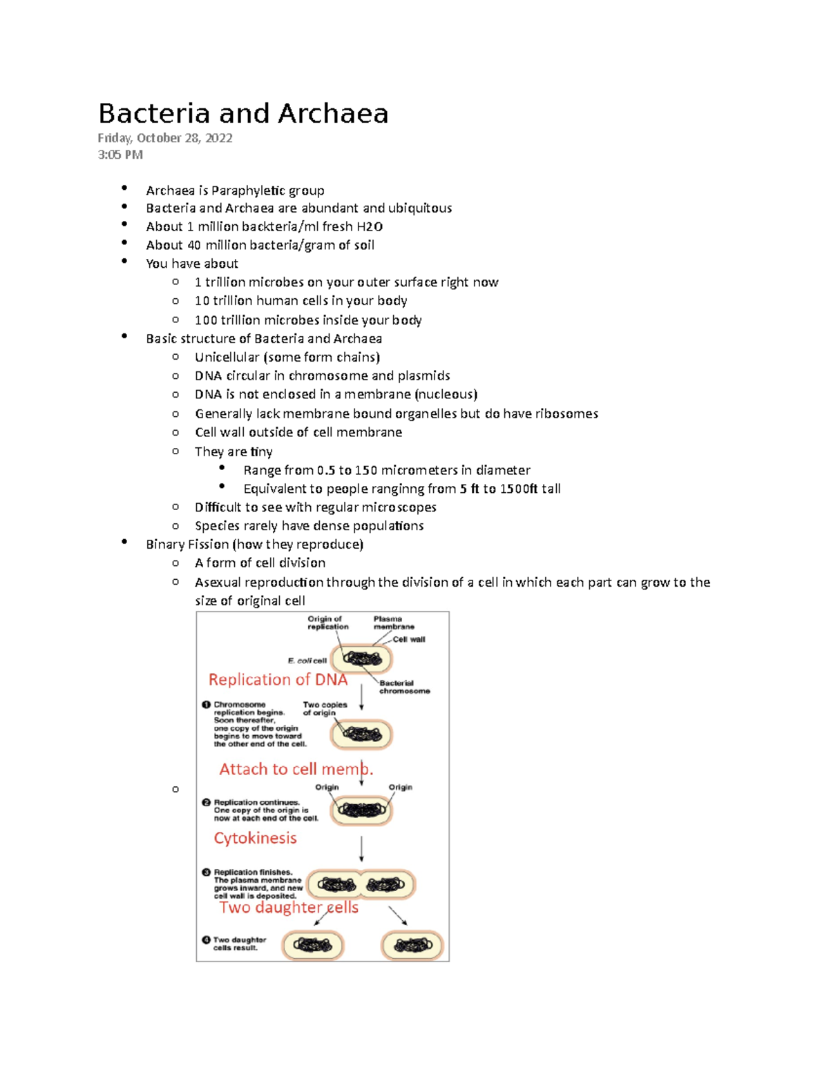 Bacteria and Archaea - Studocu