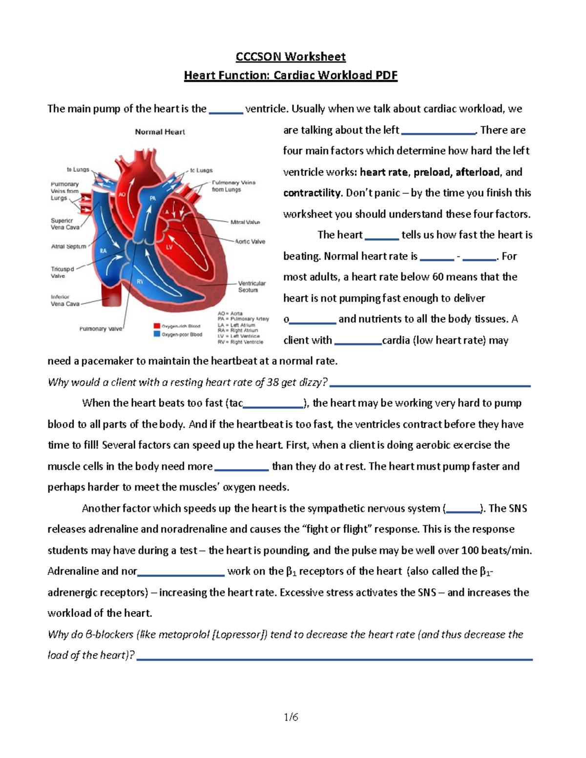 Cardiac workload complete - CCCSON Worksheet Heart Function: Cardiac ...