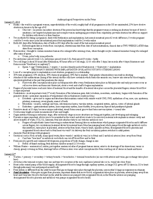 Moral Status Handout (Warren) - Seven Principles of Moral Status Mary ...