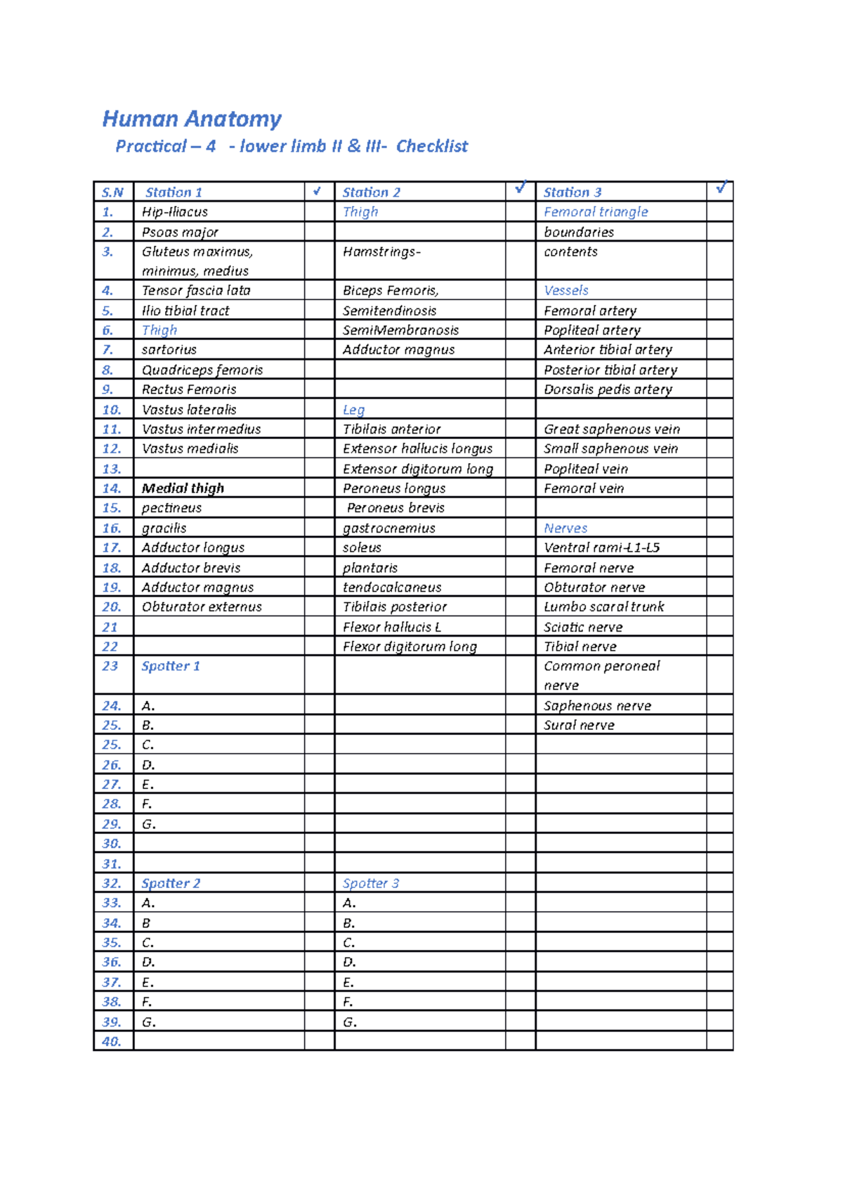 Human Anatomy - Practical 4 - Human Anatomy Practical – 4 - lower limb ...