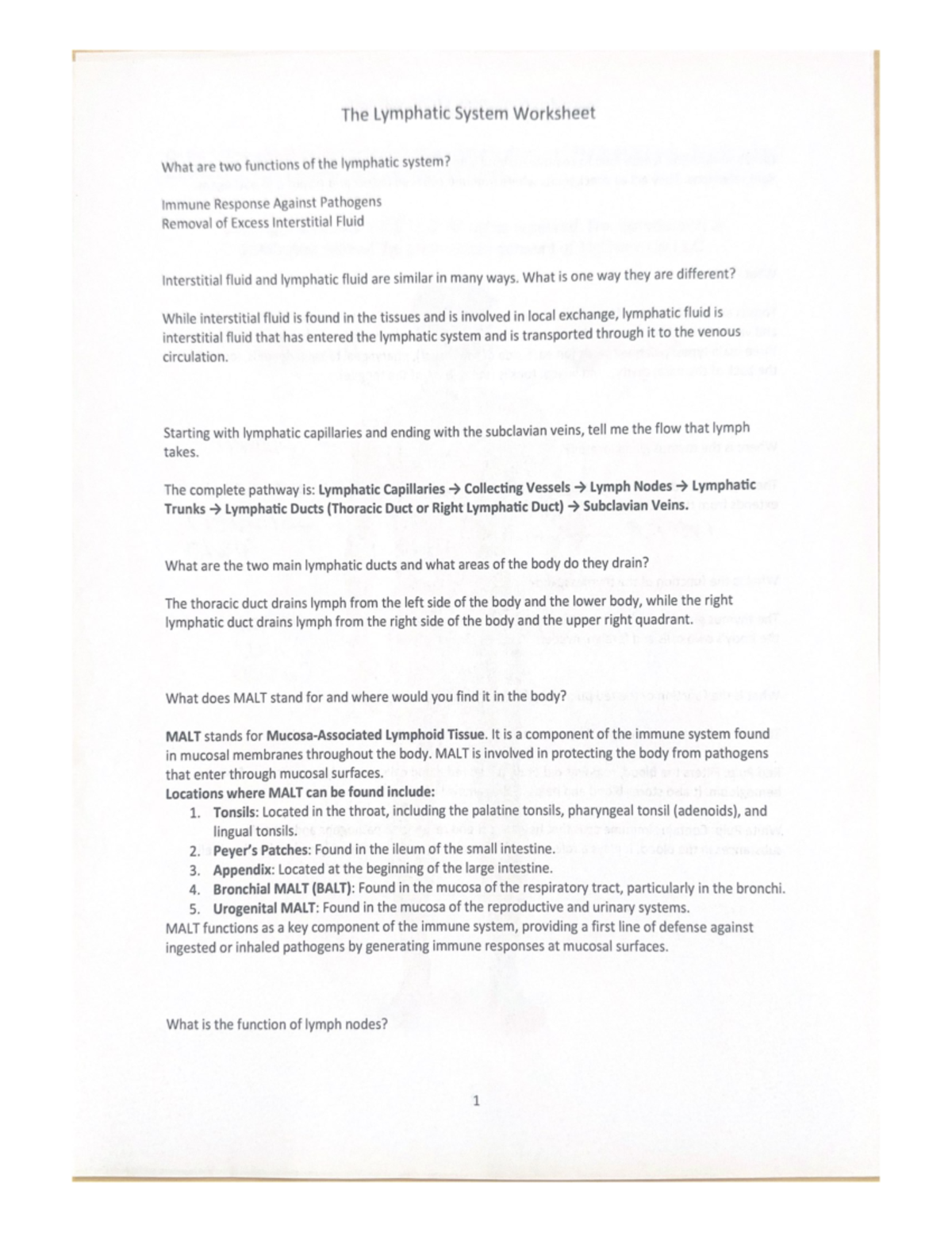 The Lymphatic System Worksheet - What is one way they are different ...