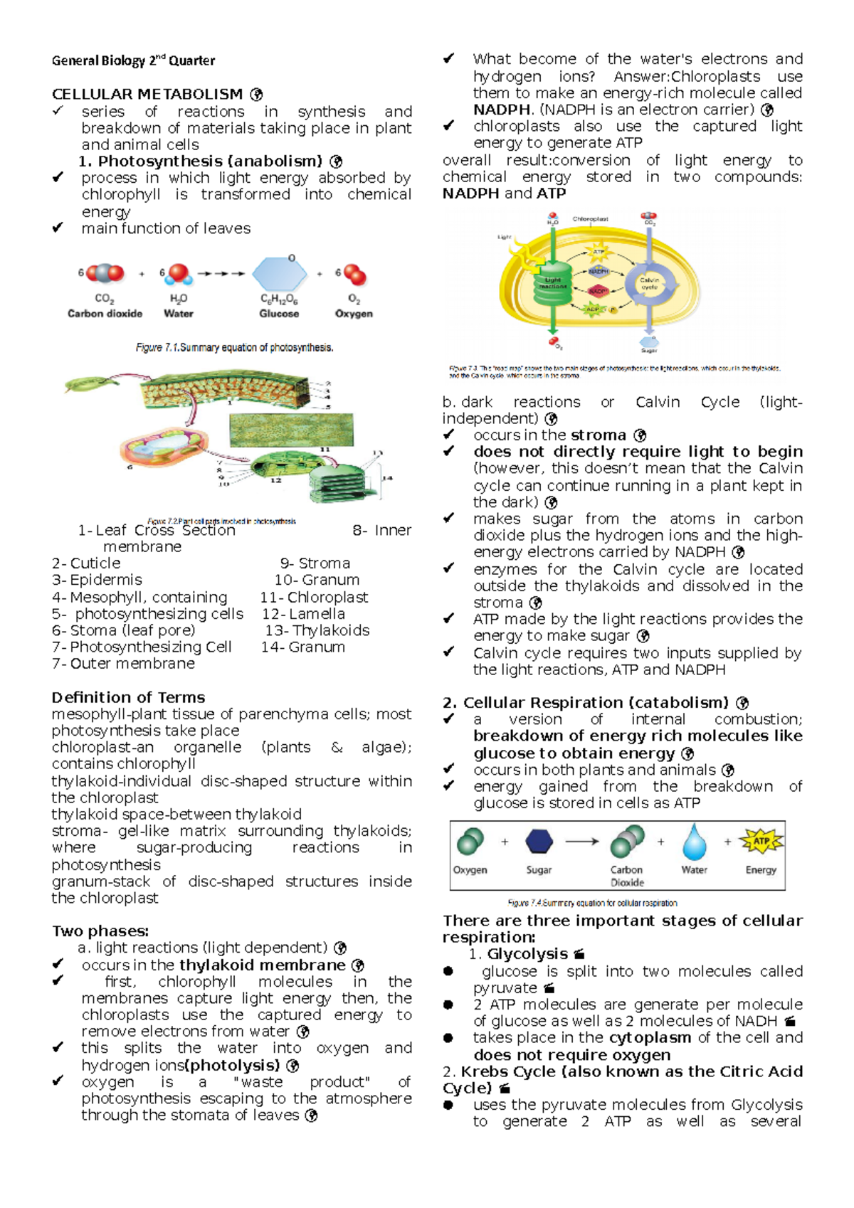 Notesgeneral Biology 2nd Quarter - General Biology 2nd Quarter CELLULAR ...