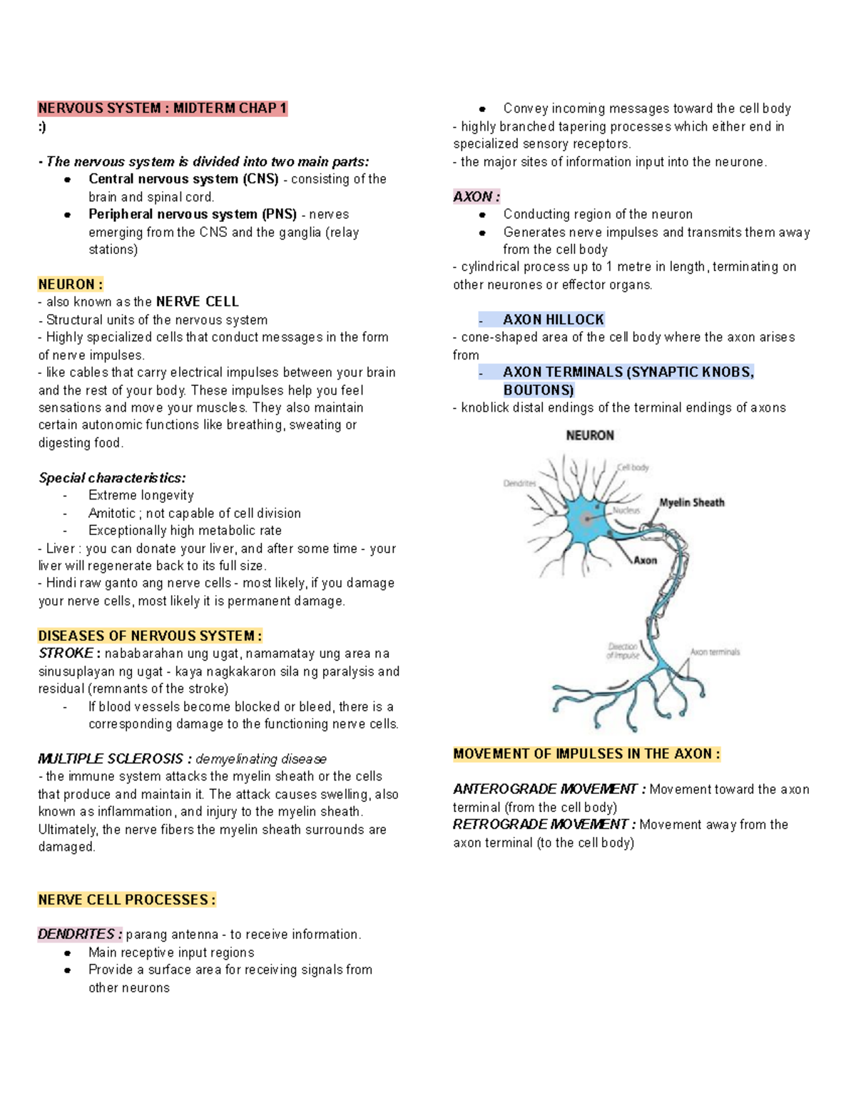Histology nervous system - NERVOUS SYSTEM : MIDTERM CHAP 1 :) The ...