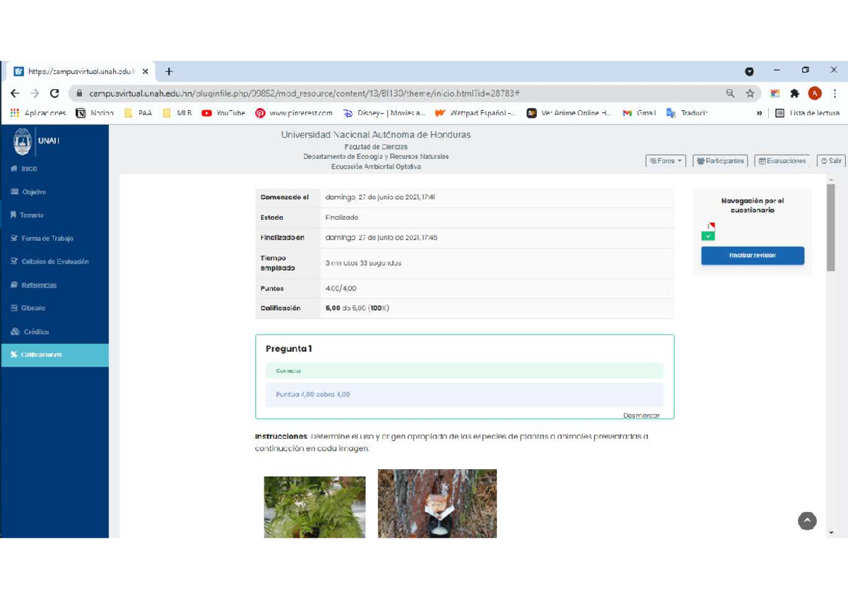 Actividad 4 usos de la biodiversidad en honduras - Educación Ambiental - Studocu
