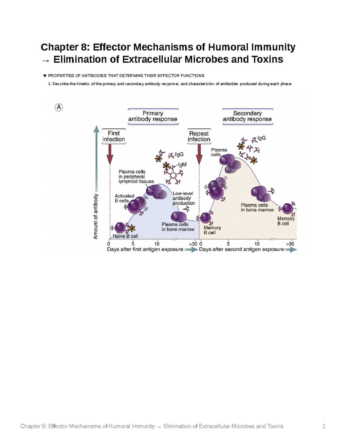 Chapter 8 Effector Mechanisms of Humoral Immunity Elimination of ...