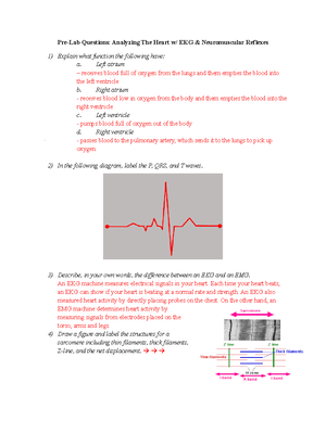 Pre-Lab Diffraction & Interference - Pre-Lab Questions: Diffraction & Interpretation 1. Define ...