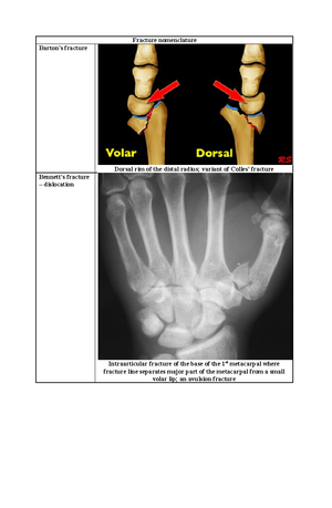 Functional Muscle Testing - Functional Muscle Testing Cervical Neck ...