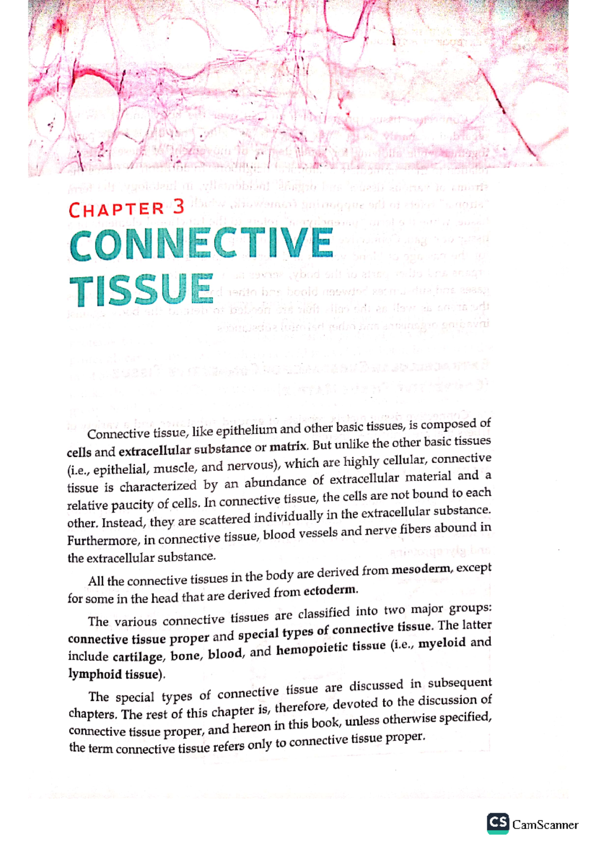 Connective Tissues - Medical Technology - Studocu