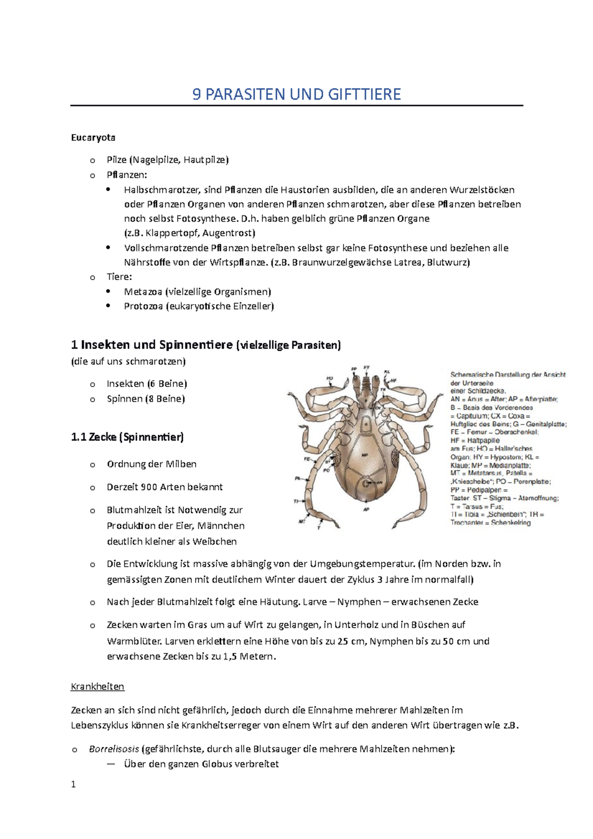 9. Parasiten und Gifttiere - 9 PARASITEN UND GIFTTIERE Eucaryota o ...