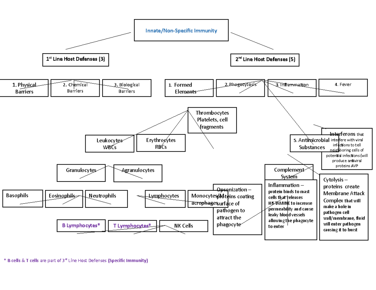 Non-Specific Immunity Flow Chart - Innate/Non-Specific Immunity B ...