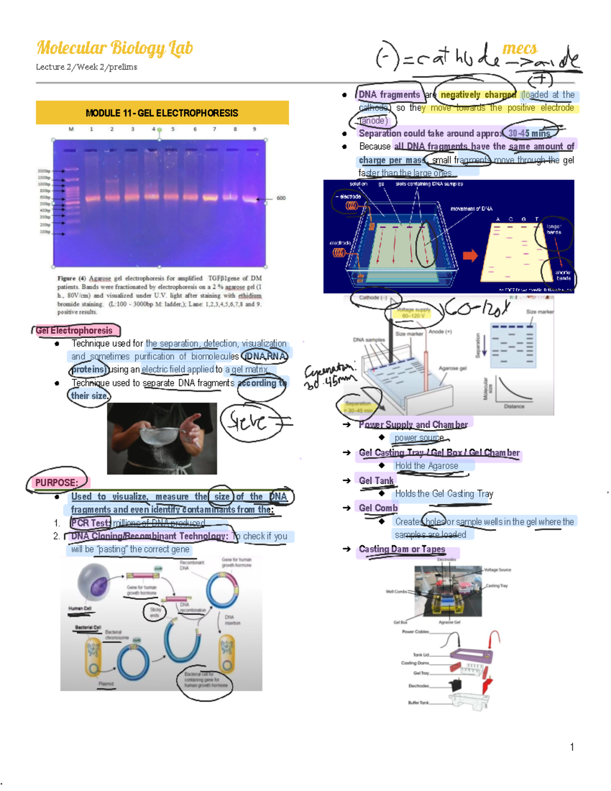 Inbound 5625211230434398099 - Lecture 2/Week 2/prelims MODULE 11- GEL ...