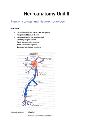 Neuroanatomy Unit III - Lecture notes - Neuroanatomy Unit III 1 ...