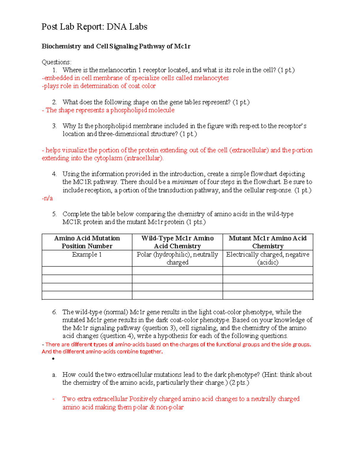 DNA Virtual Labs c - Bio chem - Post Lab Report: DNA Labs Biochemistry ...