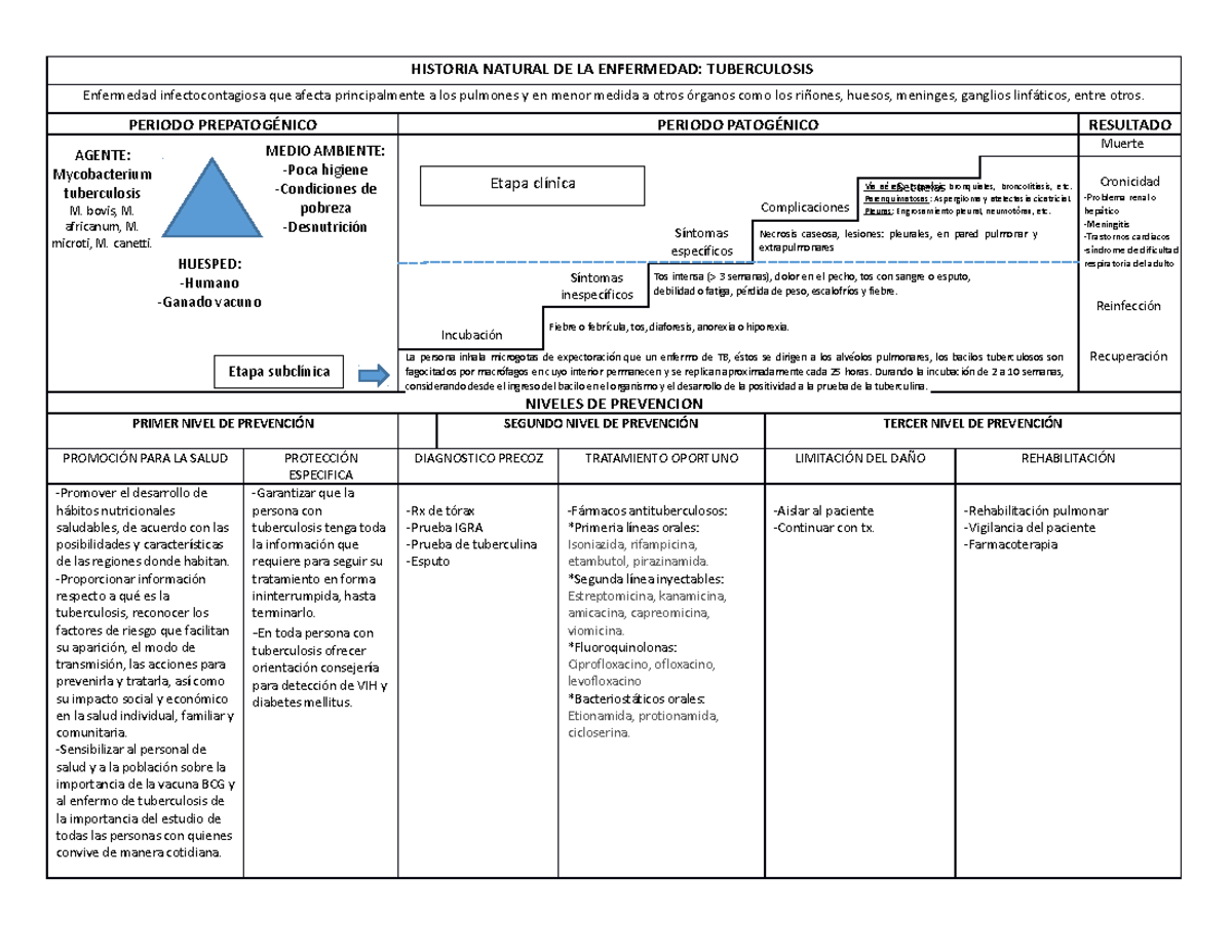 HNE Tuberculosis - HISTORIA NATURAL DE LA ENFERMEDAD: TUBERCULOSIS ...