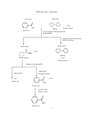 Bromination of Cinnamic Acid - Studocu